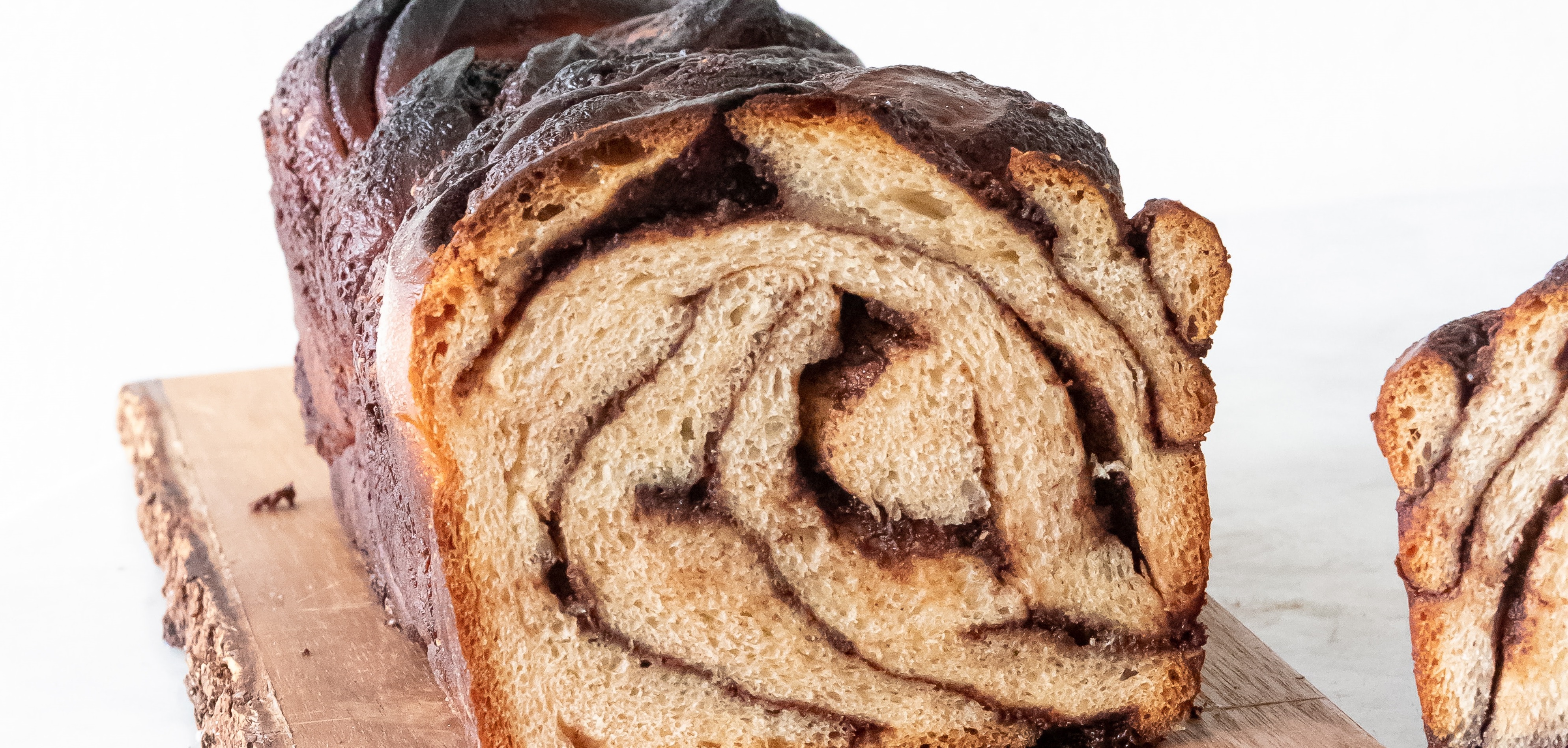 Chabad of The Woodlands Serving the Conroe, Spring and Kingwood areas.